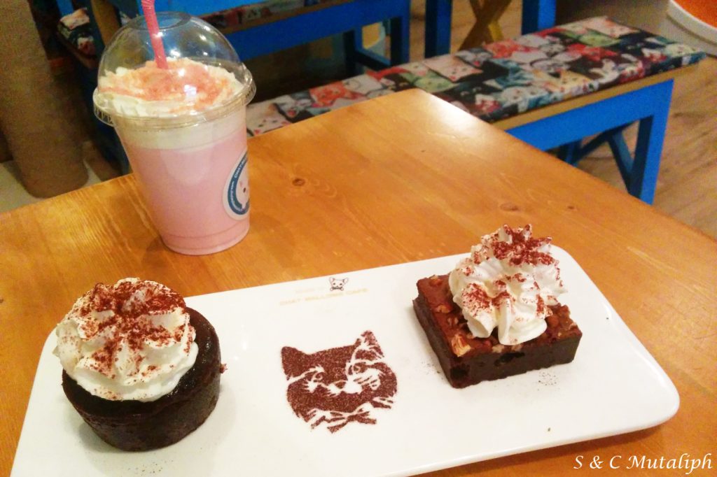 Chat Mallows Café, le bar à chats – Paris – La Paire de Jumelles